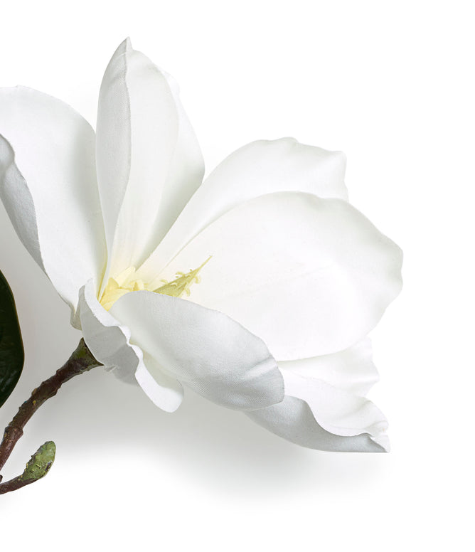 EVER Skincare - Clean Skincare For Women in their 30s and Beyond
